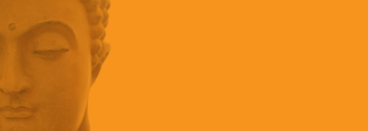 REV Centre for Optimal Living